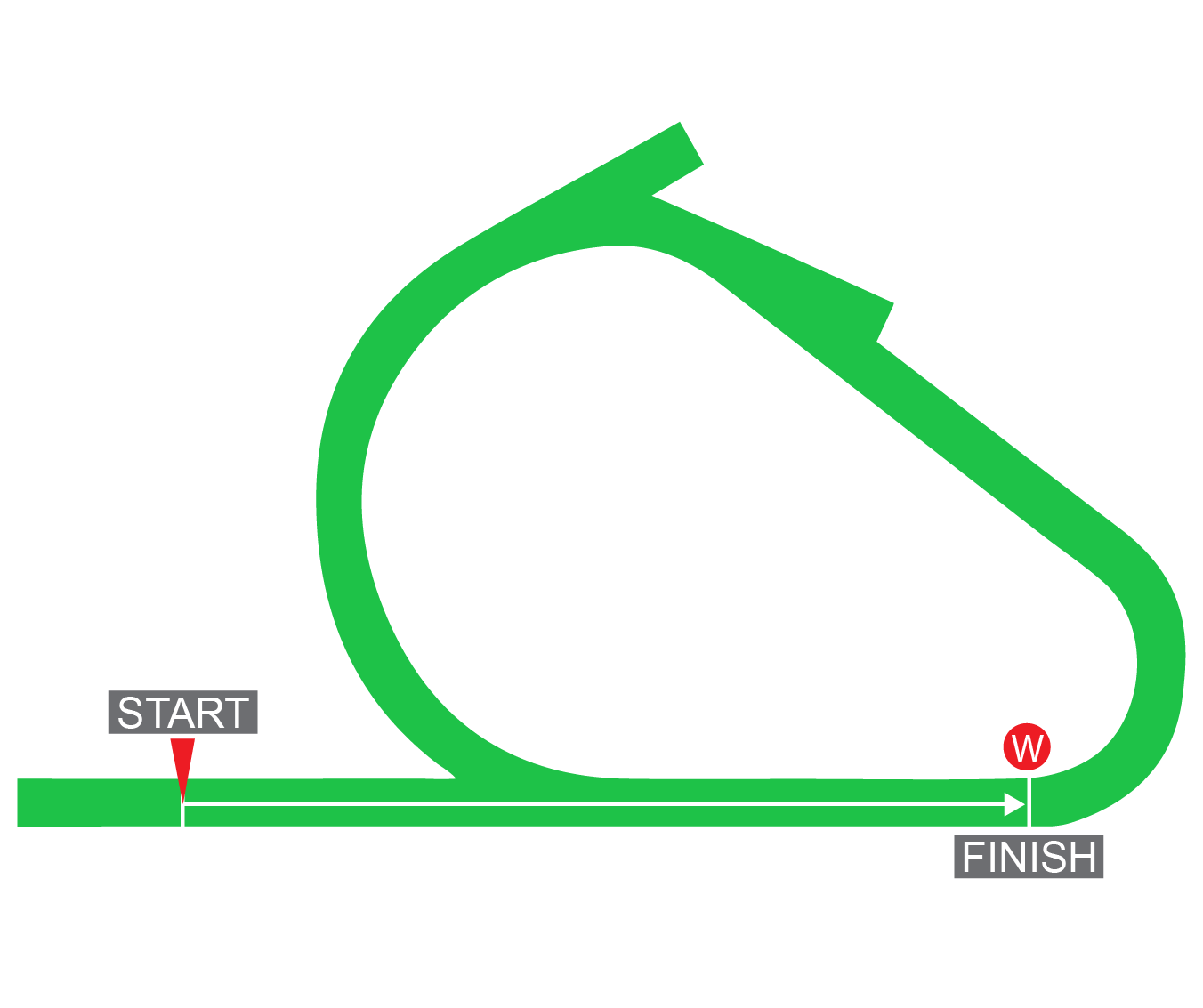 Race Card - Simulcast Race - The Hong Kong Jockey Club