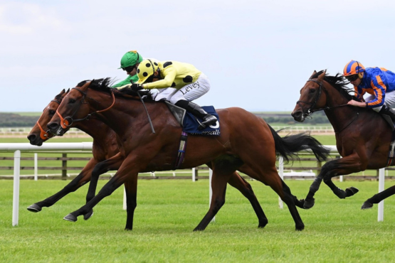 Australian, Irish and Hong Kong race days added to World Pool programme