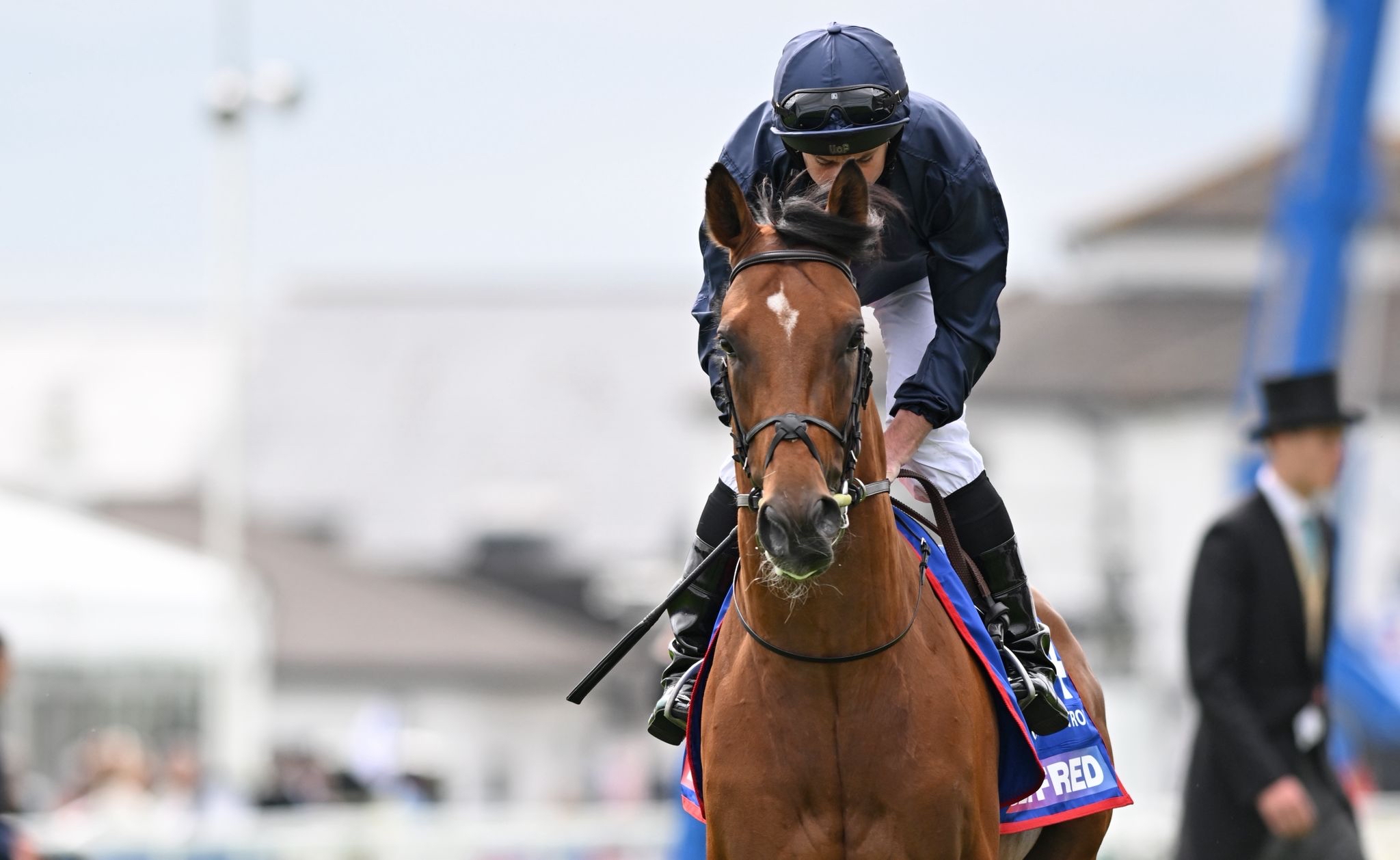 World Pool returns with Derby Stakes Day from Epsom alongside Greyville ...