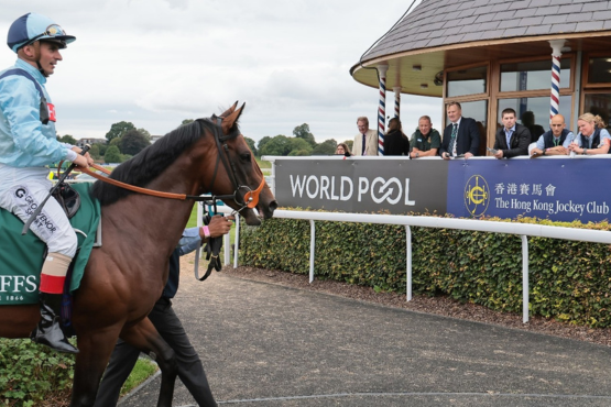 News - World Pool - The Hong Kong Jockey Club