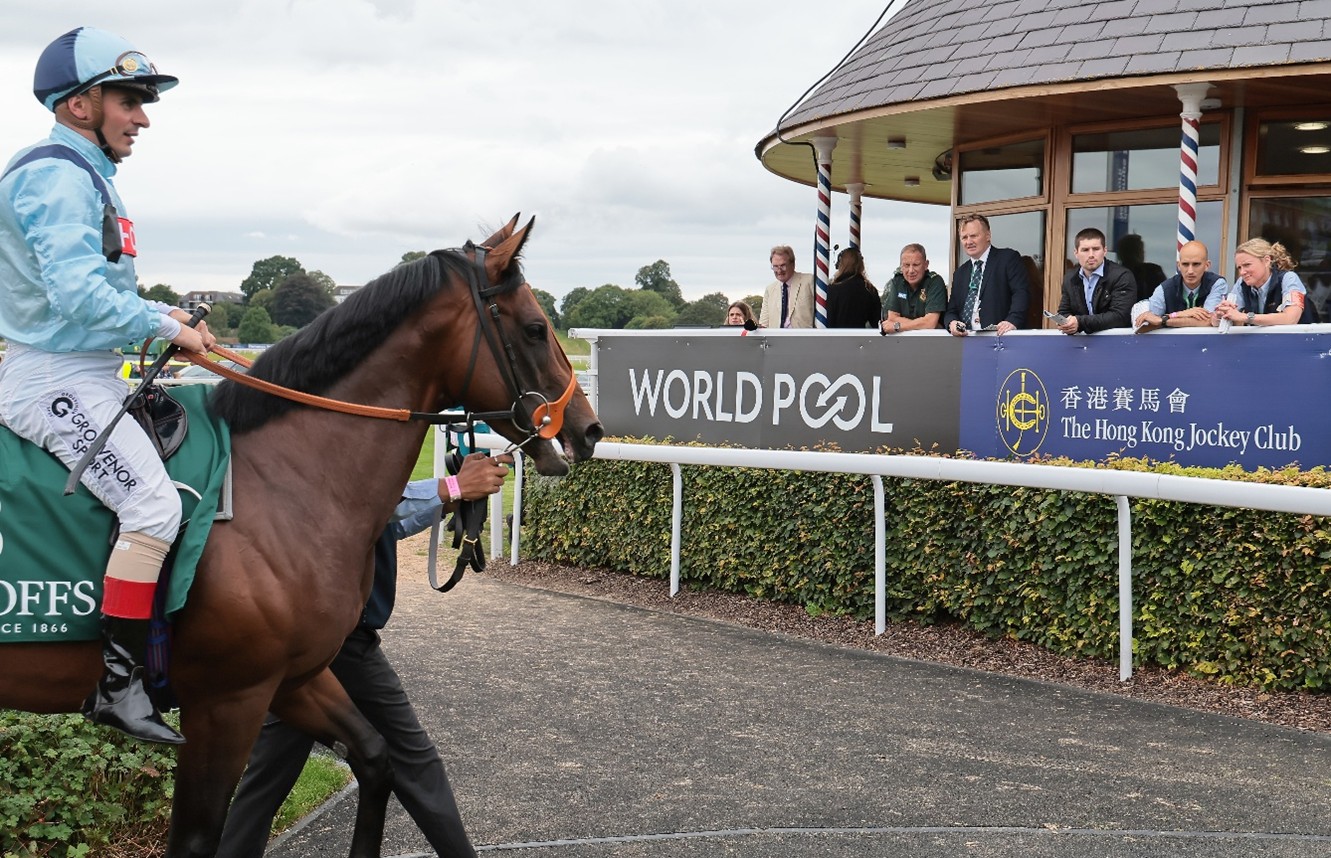 Major prize money boost to extra World Pool races at York