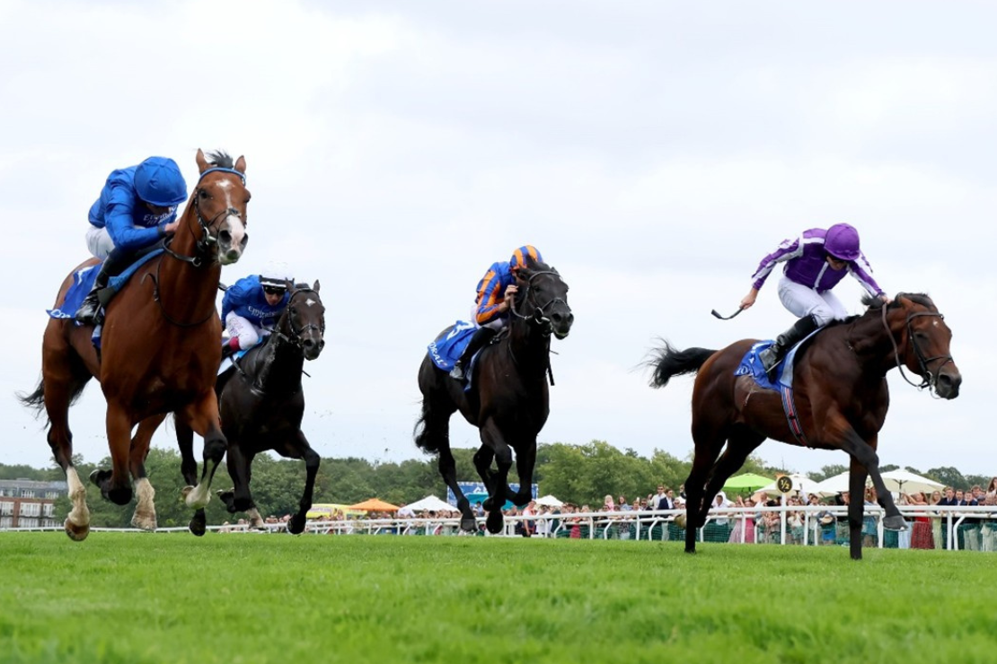 News - World Pool - The Hong Kong Jockey Club