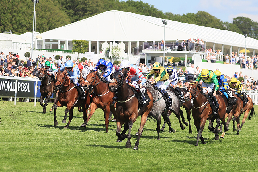 About World Pool - World Pool - The Hong Kong Jockey Club