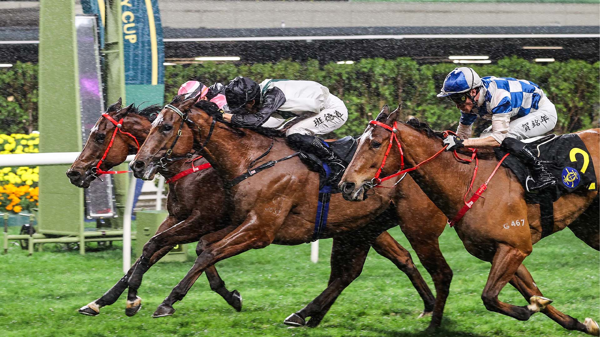 Highlights from Kwoon Chung Bus 60th Anniversary Cup 2025 - Stories ...