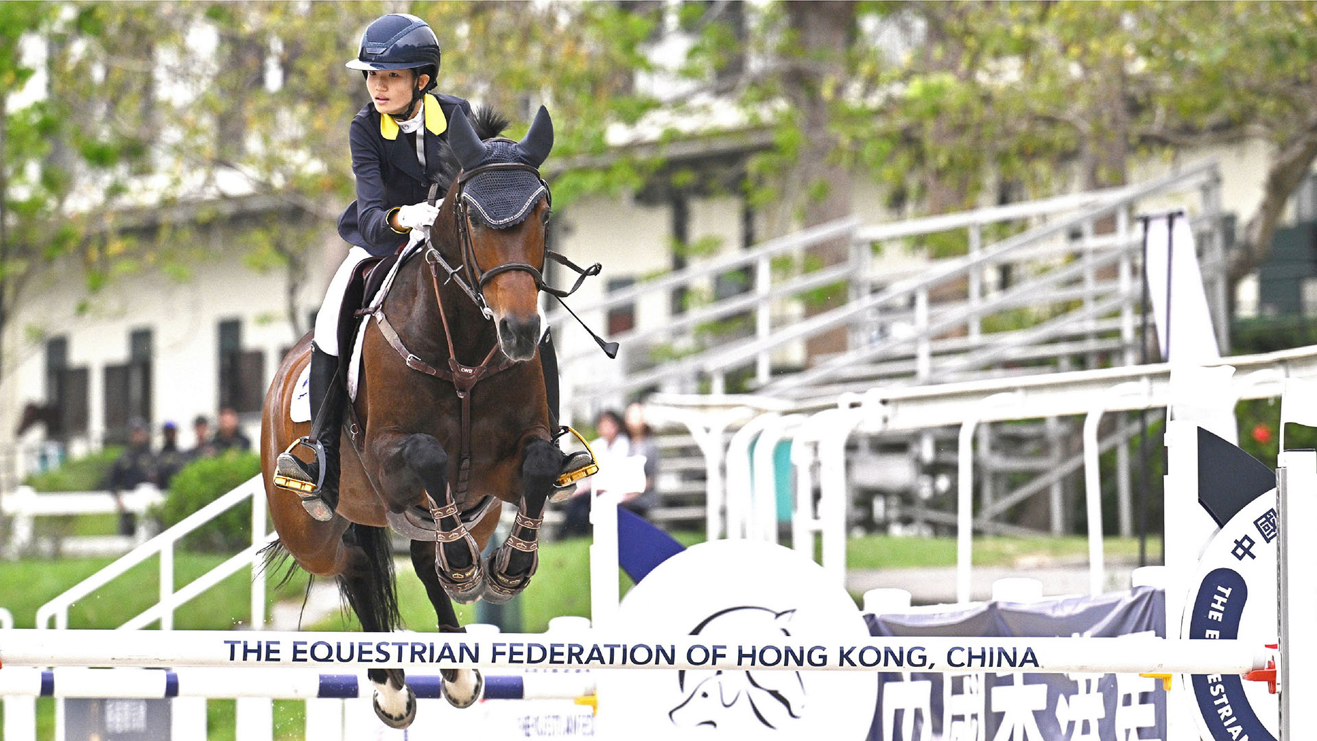 From Track to Triumph in Equestrian Sport - Stories - Members' Hub ...