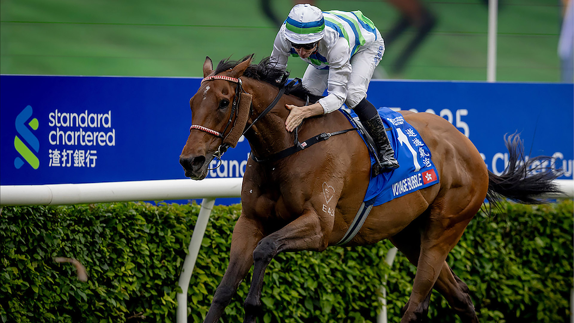 Highlights from Standard Chartered Champions & Chater Cup 2025 ...