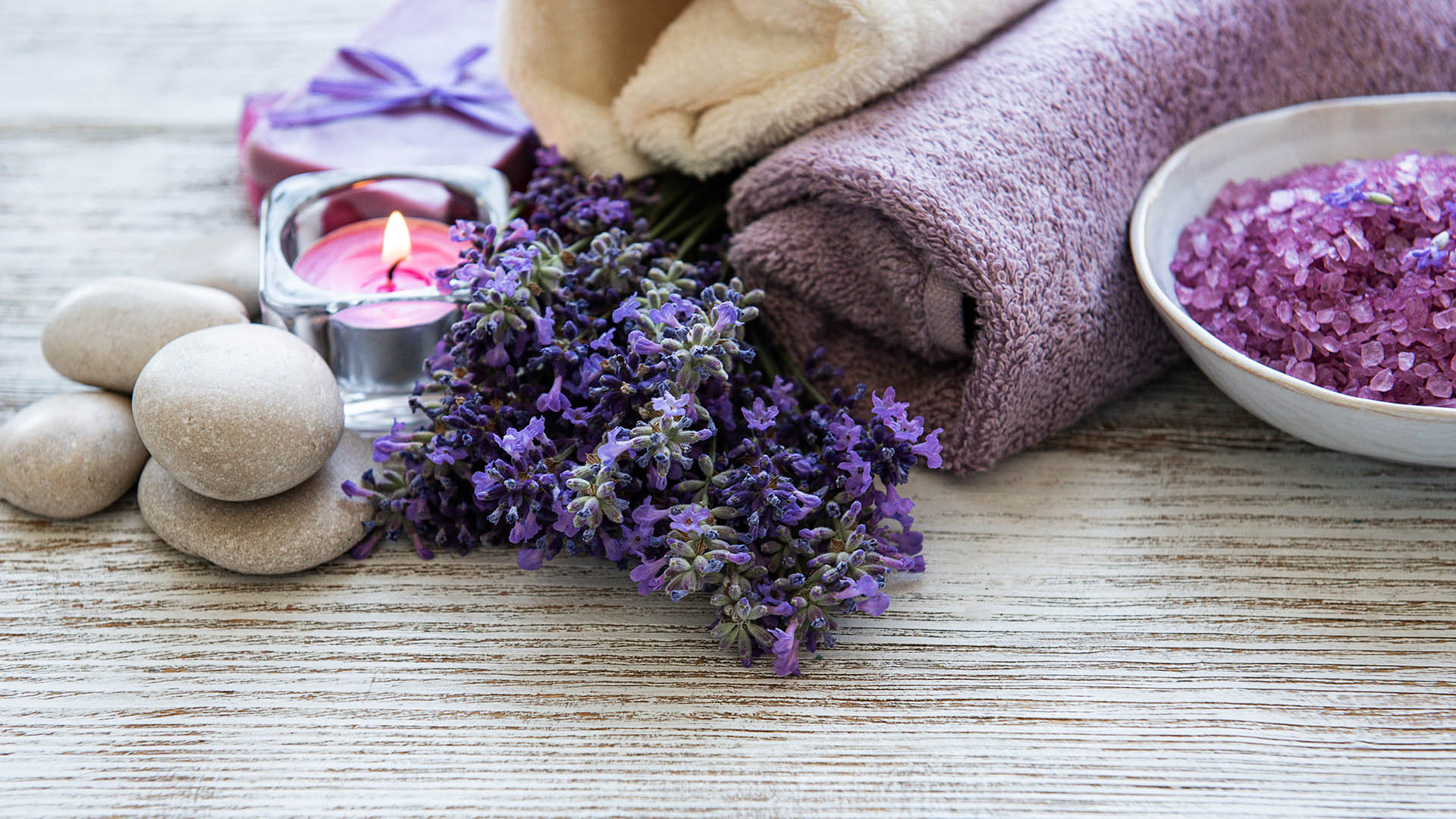 MEMBERS' HUB - Member's Portal - The Hong Kong Jockey Club