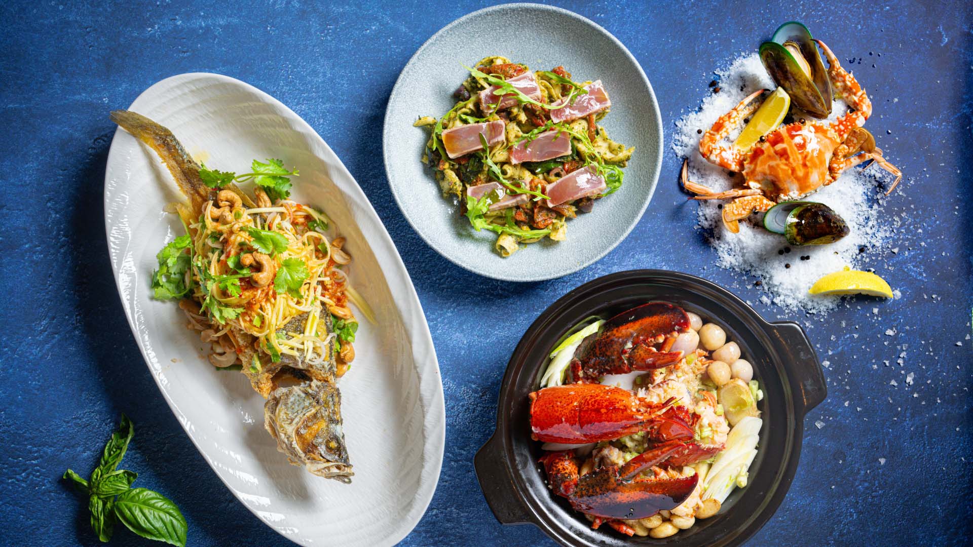 Experience - Members' Hub - The Hong Kong Jockey Club